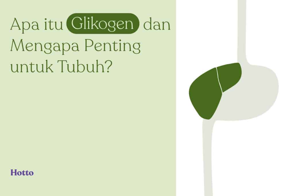 Apa Itu Glikogen, Mengapa Penting Untuk Tubuh?