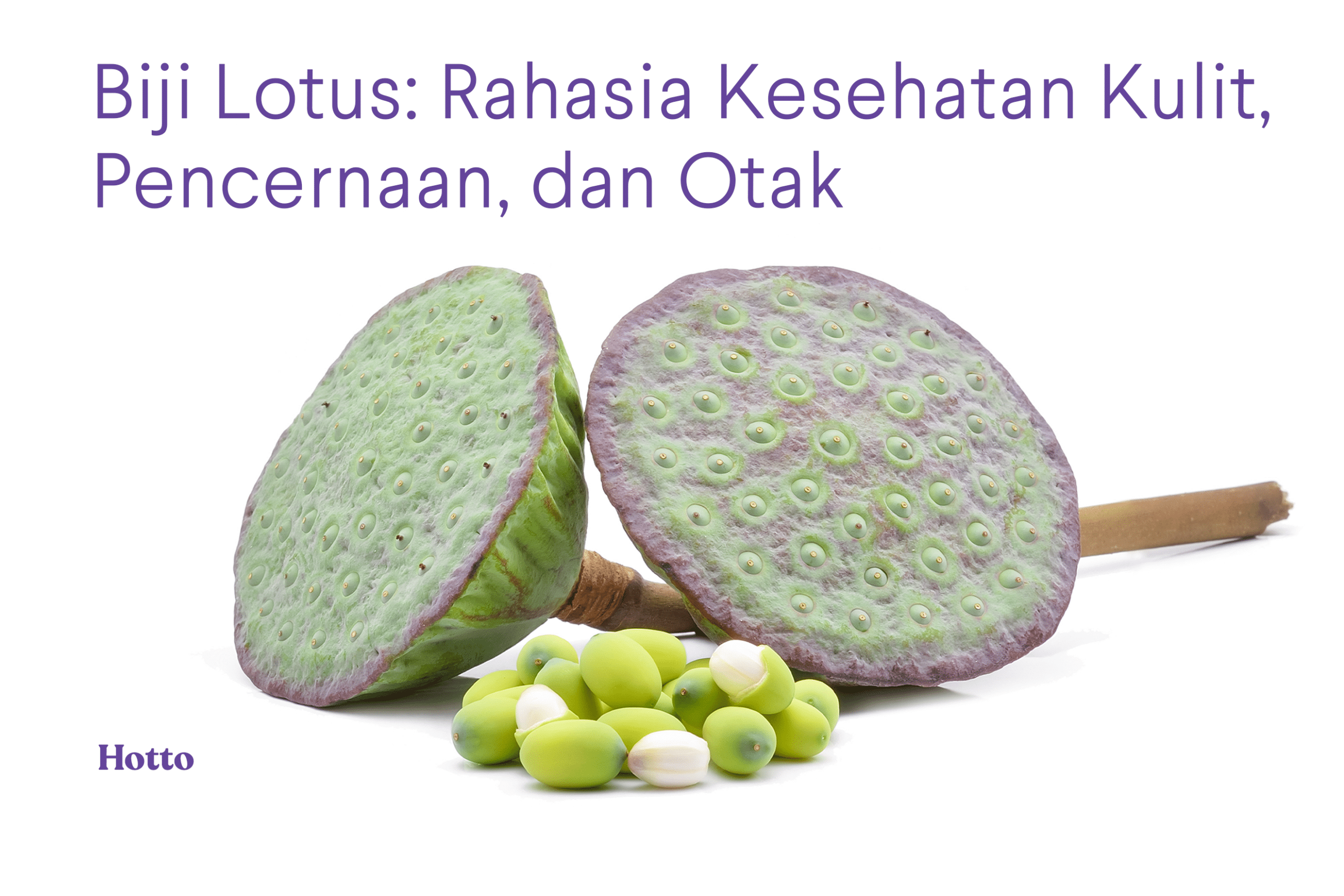 Biji Lotus: Kandungan, Manfaat Dan Karakteristiknya