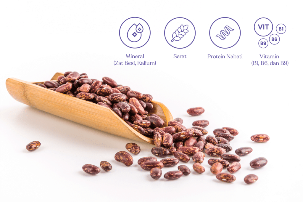 Kacang Merah: Kandungan Nutrisi Dan Manfaatnya