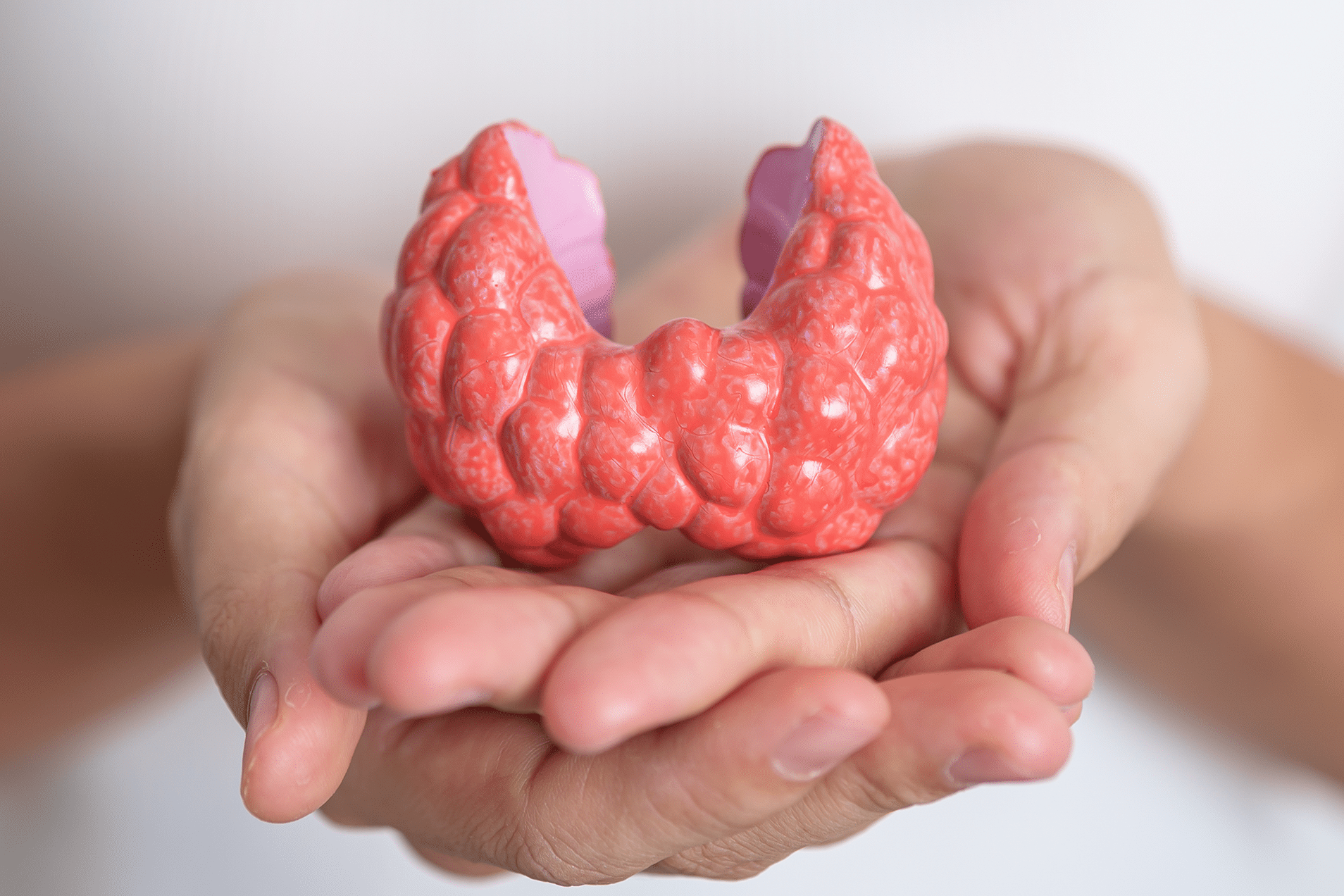 Penyakit Tiroid: Pengertian, Jenis Dan Penyebabnya