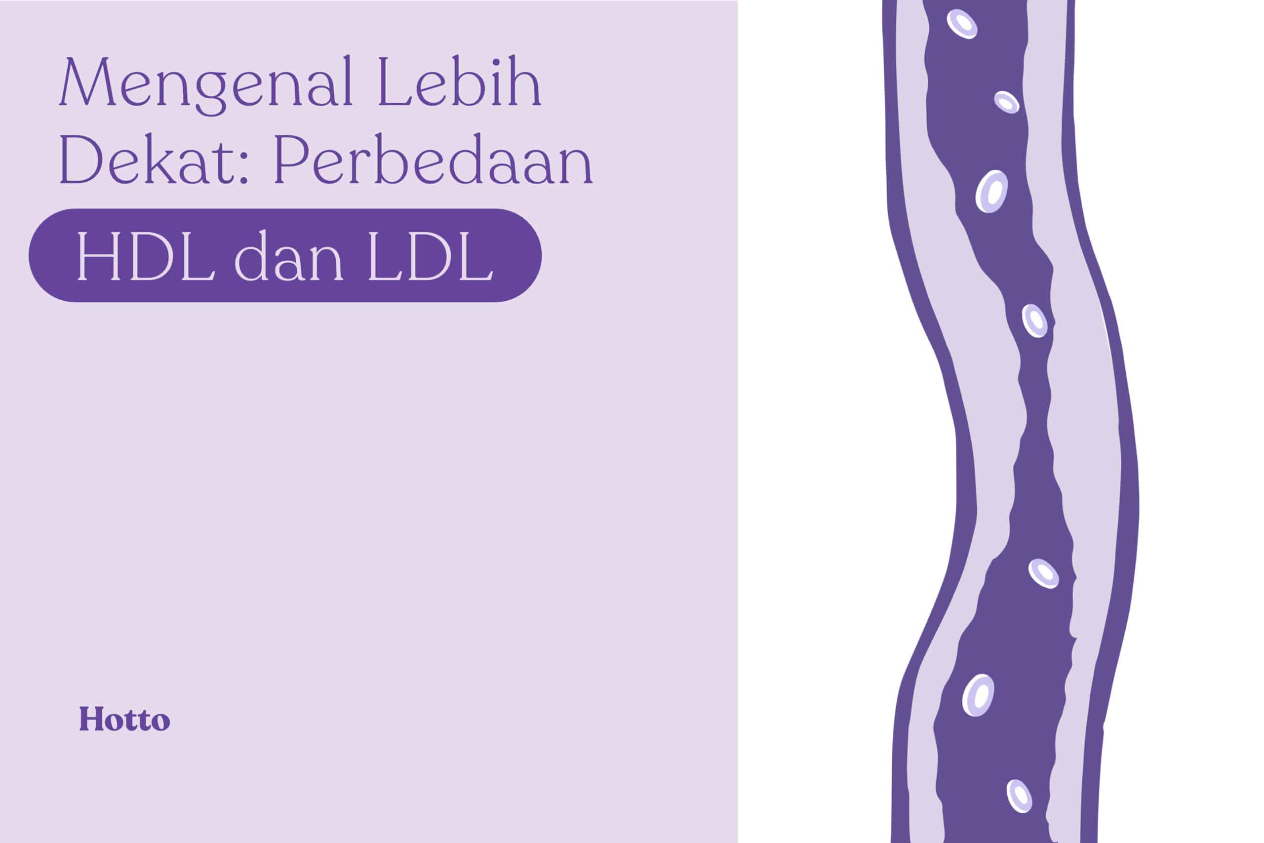 Perbedaan HDL Dan LDL: Cara Menjaga Kolesterol Normal