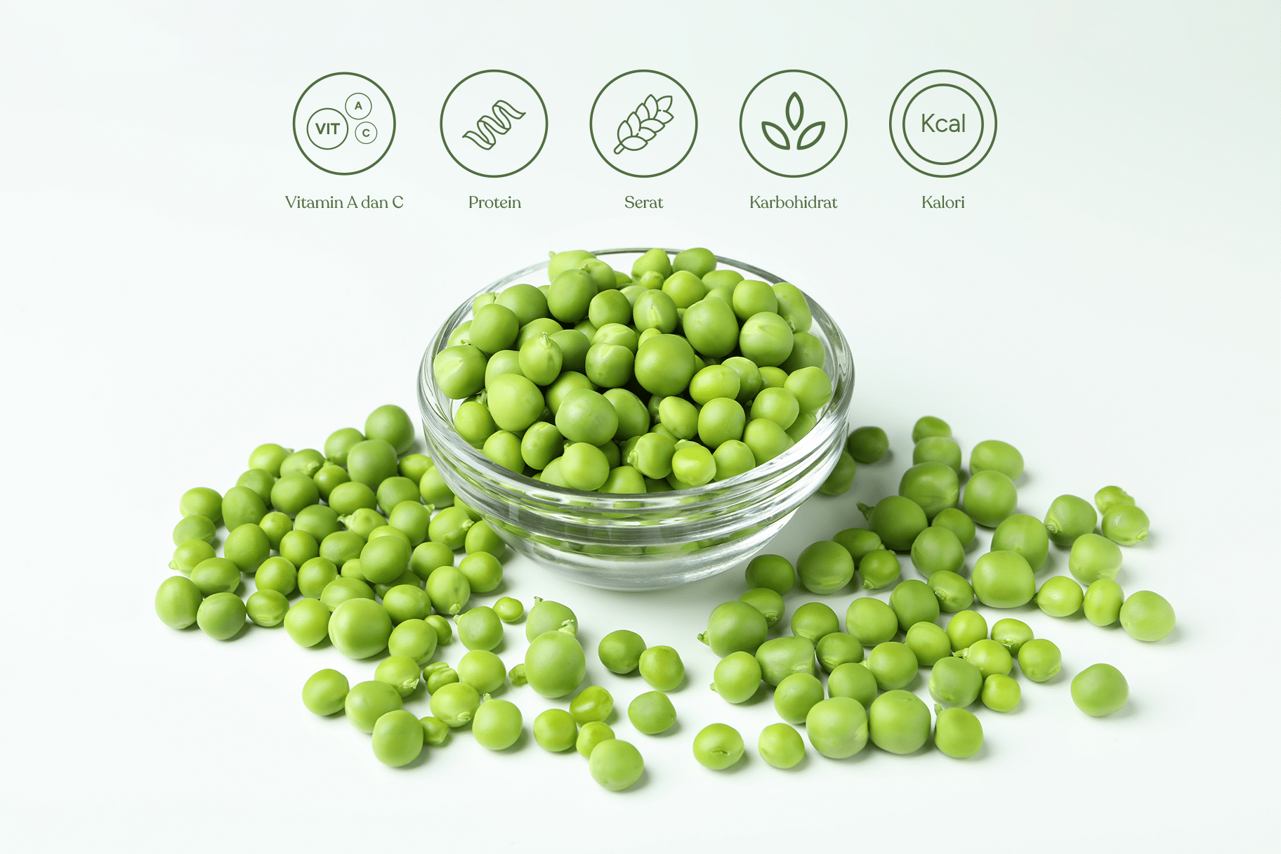 Kacang Polong: Pengertian, Nutrisi Dan Manfaatnya