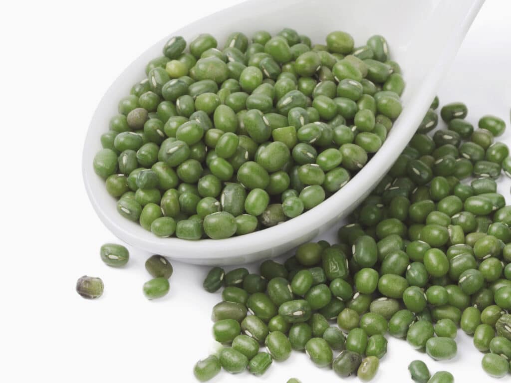 Kacang Hijau: Kandungan, Manfaat Dan Tips Mengolahnya